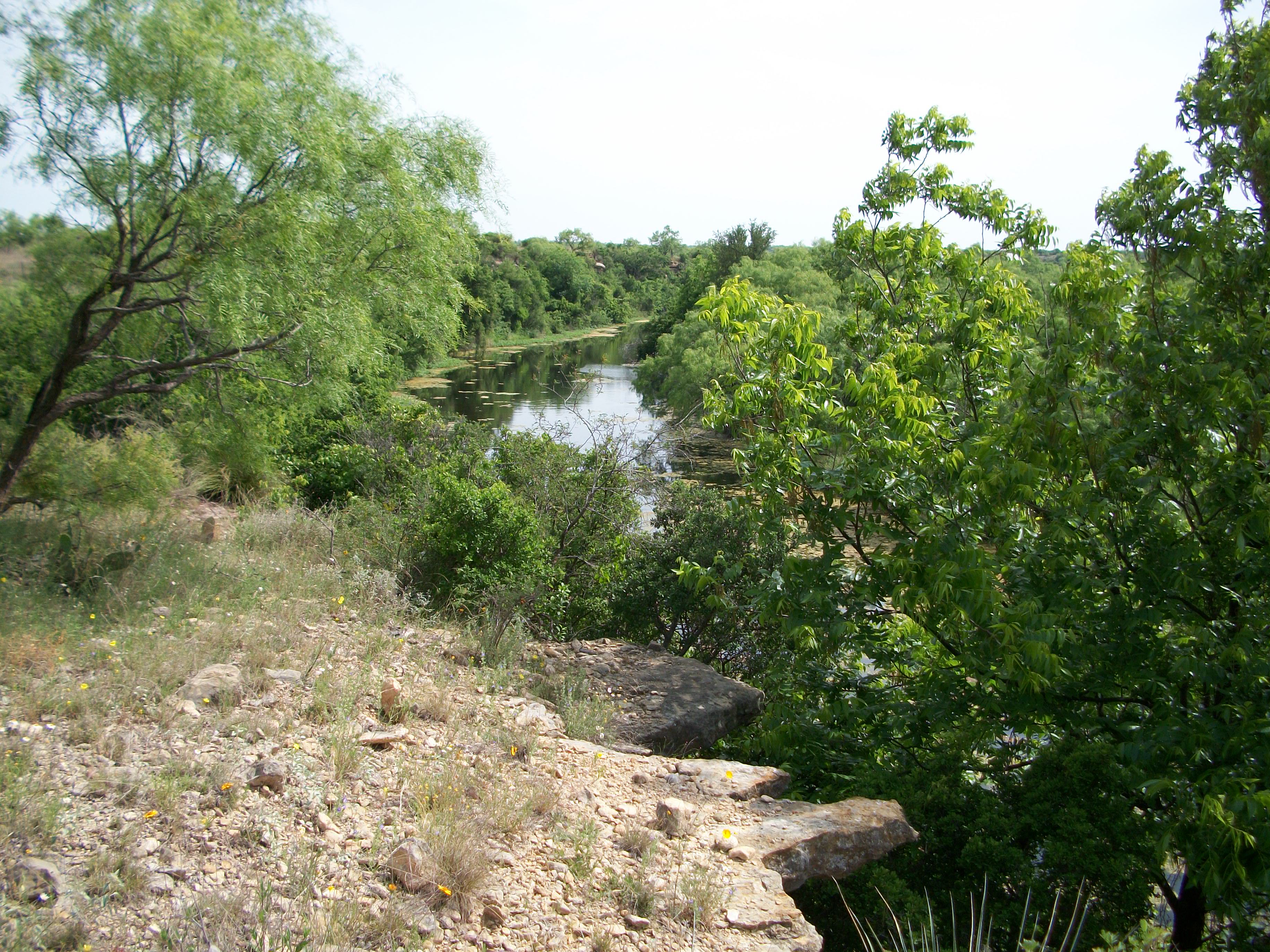 Mustang Ranch | Chip Cole & Associates, Ranch Brokers